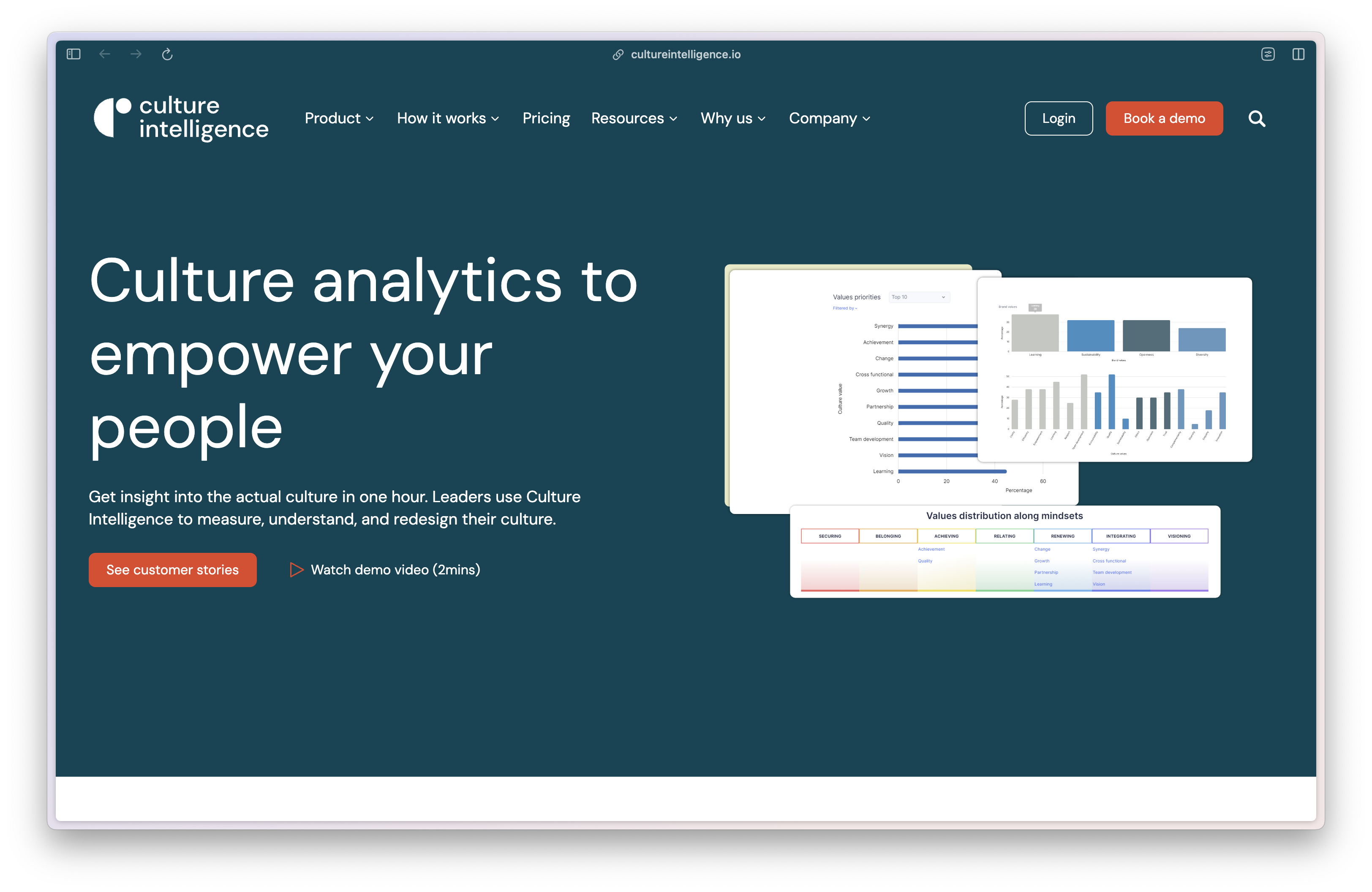 Culture Intelligence | Case Studies
